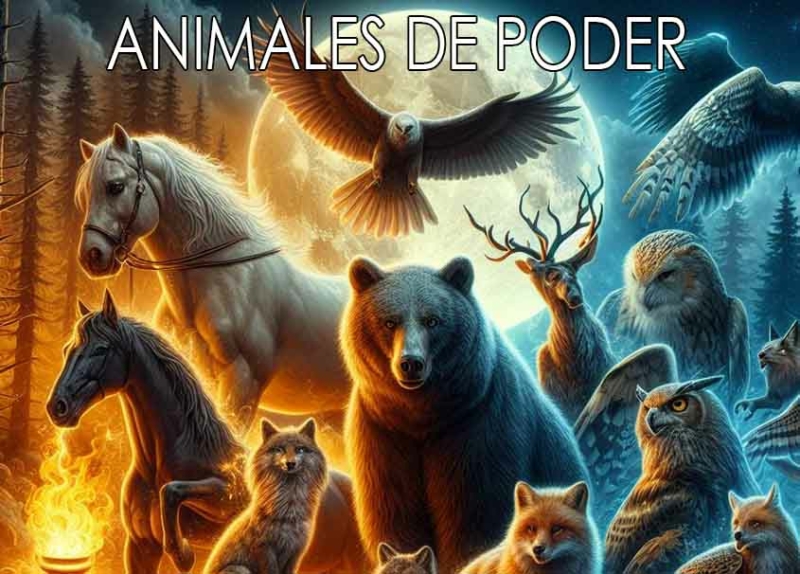 Animales De Poder Taller Intensivo | Chamanismo Evolutivo®