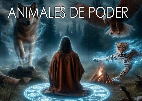 Animales De Poder Taller Intensivo | Chamanismo Evolutivo®